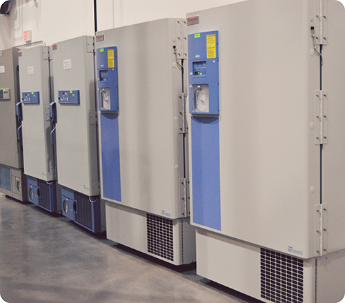 Services: GMP Warehouse Storage, Pharma Cold Chain, & More